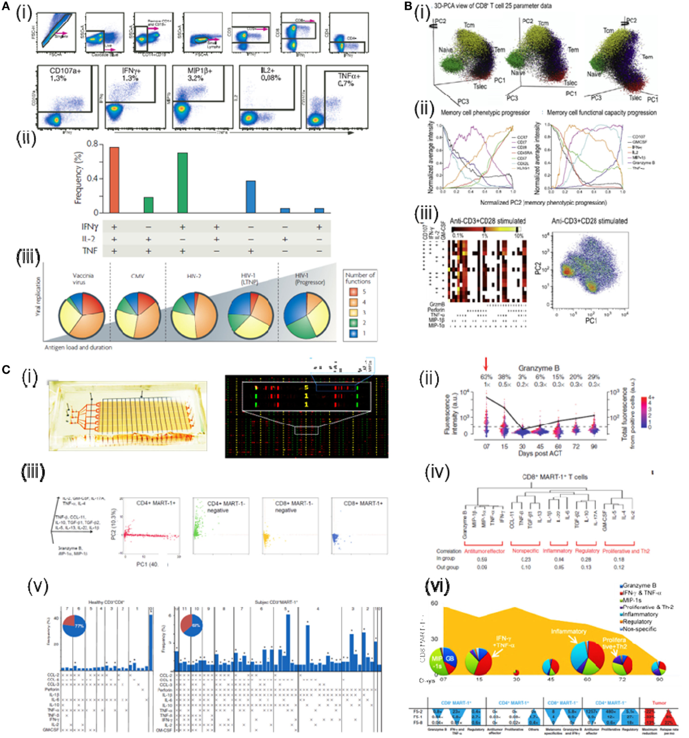 Functional Proteomics Mapping Of A Human Signaling Pa - vrogue.co Functional Proteomics Mapping Of A Human Signaling Pa - vrogue.co