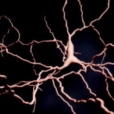 Community Series: Systemic Vasculitis: Advances in Pathogenesis and ...