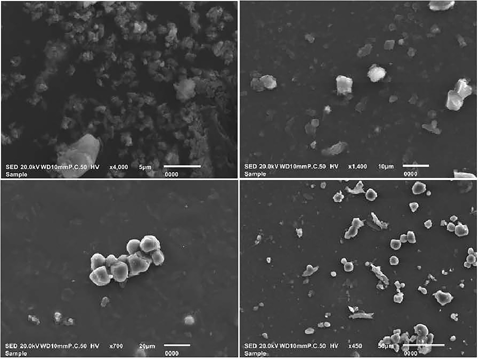 Frontiers | Biosynthesis and characterization of iron oxide nanoparticles from Mentha spicata ...