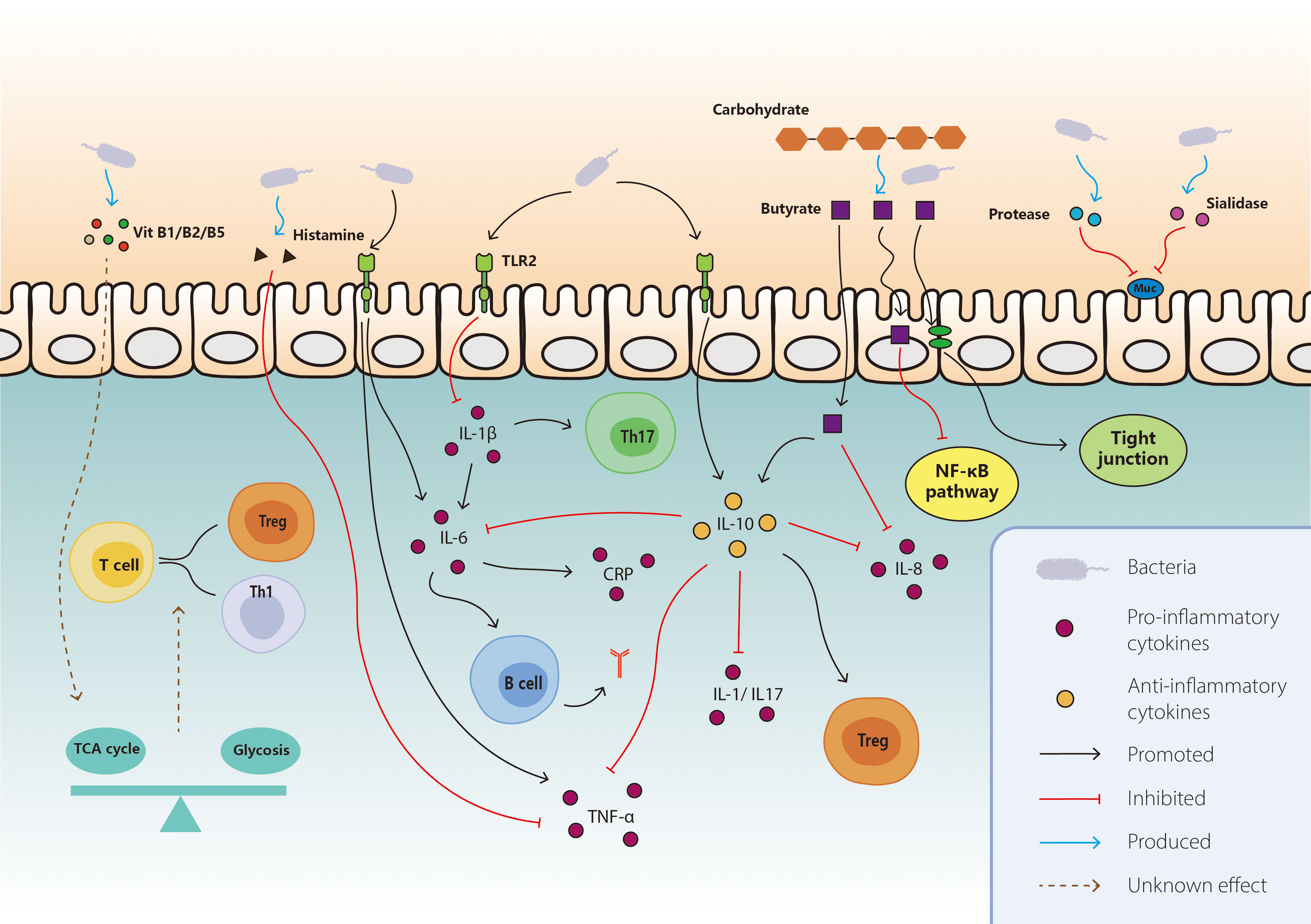 Frontiers Mechanisms Of Immune Checkpoint, 44% OFF Frontiers Mechanisms Of Immune Checkpoint, 44% OFF