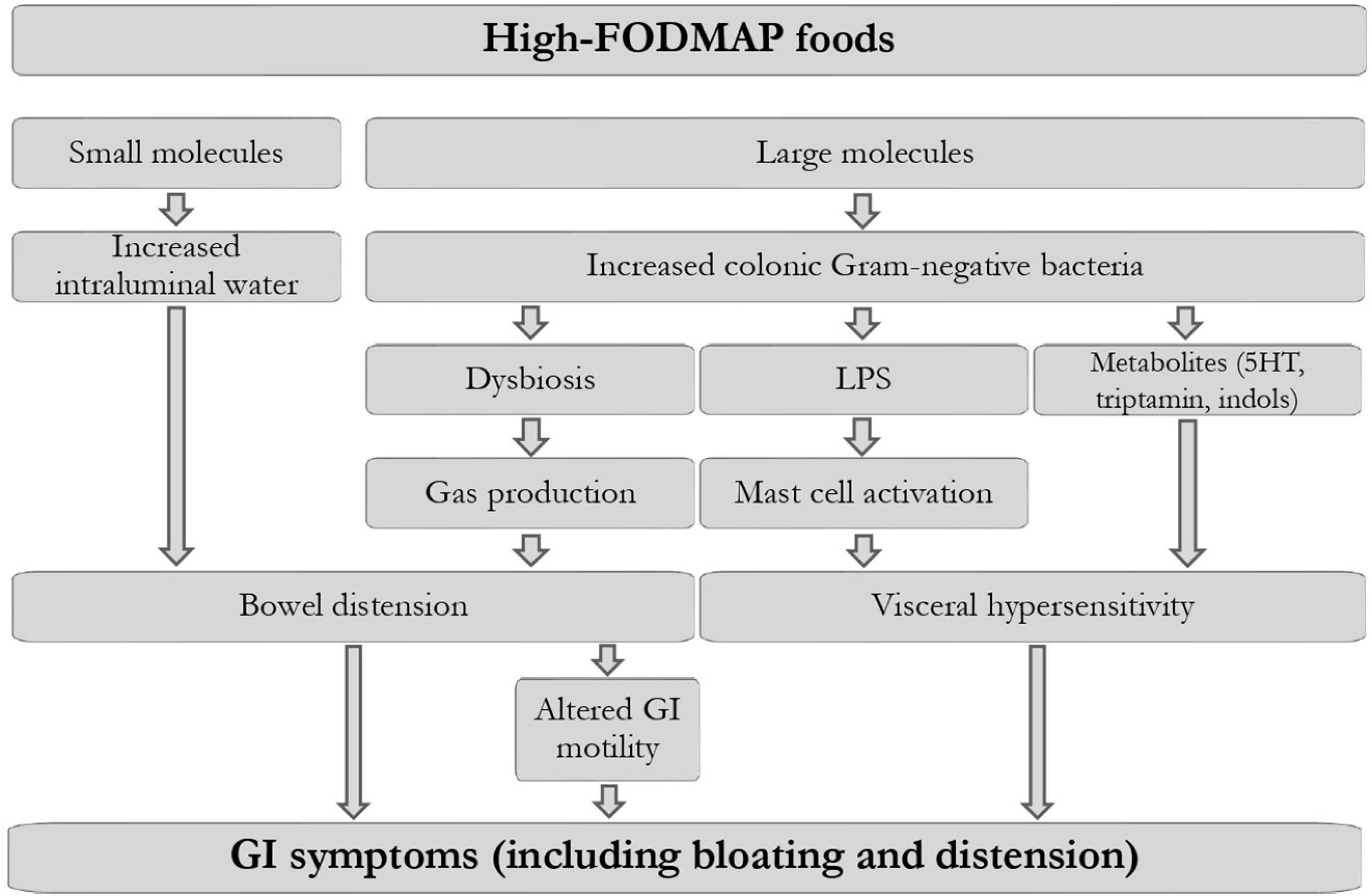 Learn What Causes Stomach Bloating And How To Get Rid Of 46 OFF