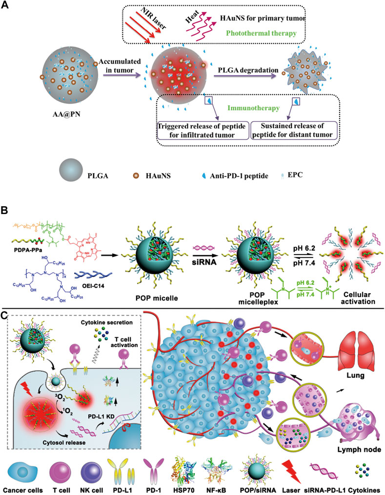 Frontiers Recent Advances In Nano Drug Delivery Systems For