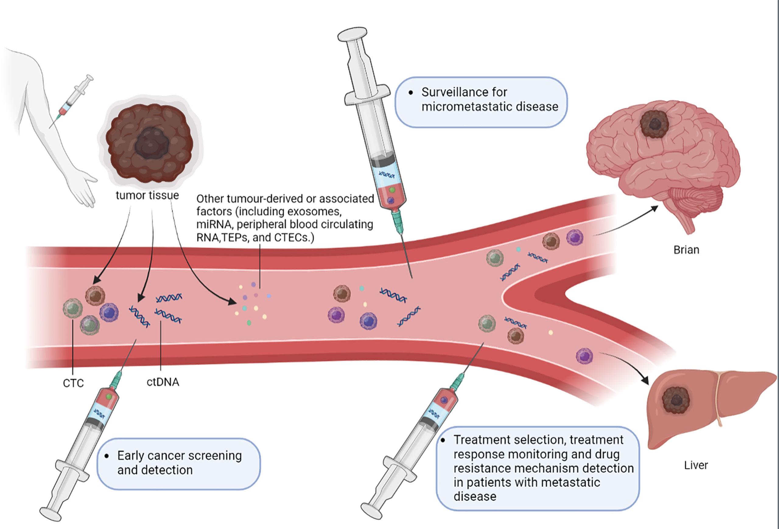 Frontiers Circulating Tumor DNA Detection In MRD Assessment And