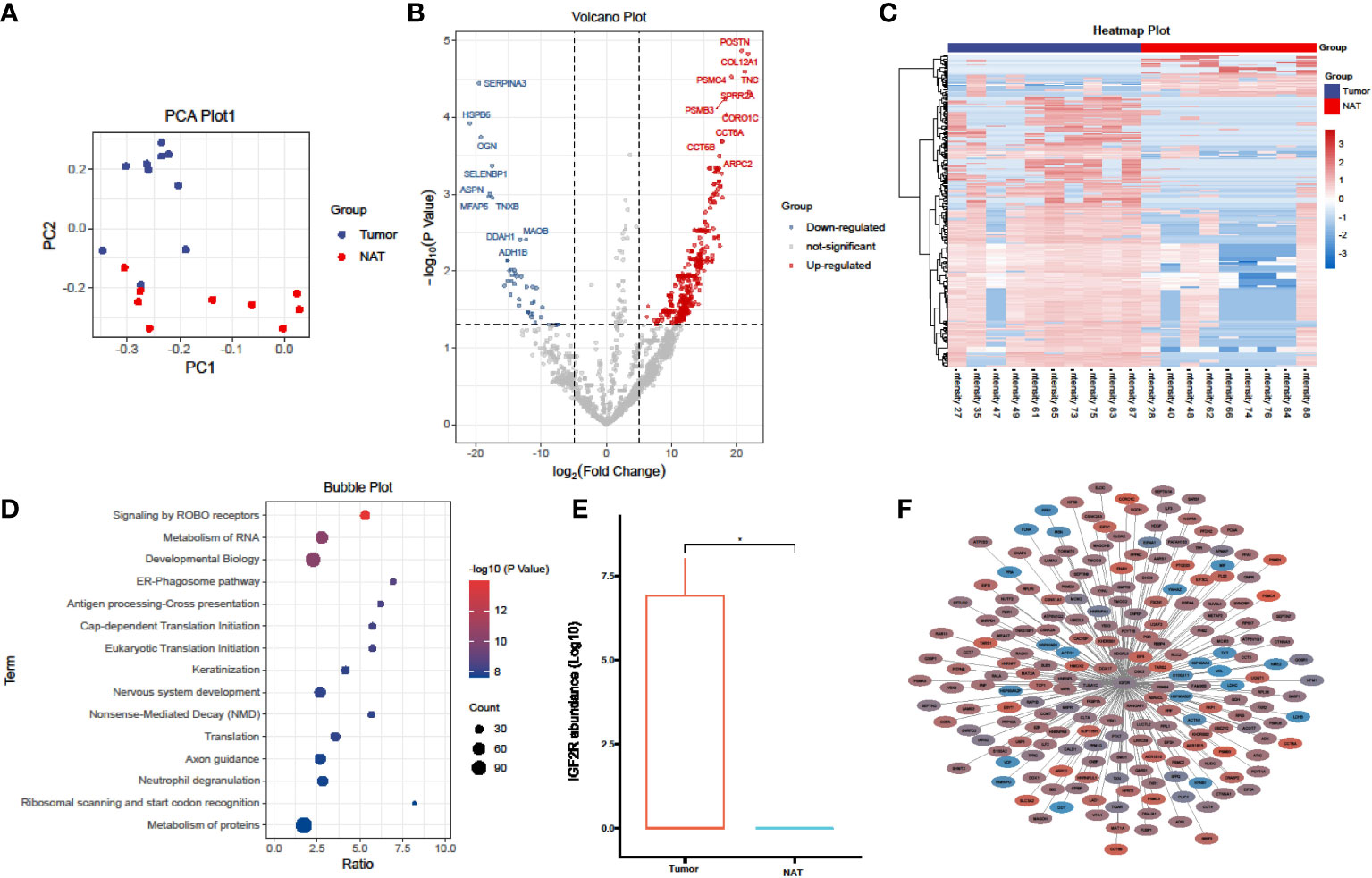 Frontiers Proteomics Analysis Of Cancer Tissues Identifies Igf2r As A