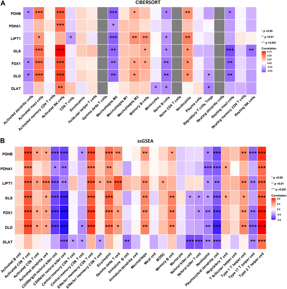 Frontiers Cuproptosis Related Genes Signature And Validation Of
