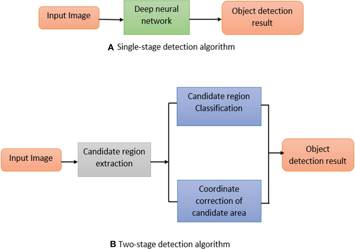Article Detection