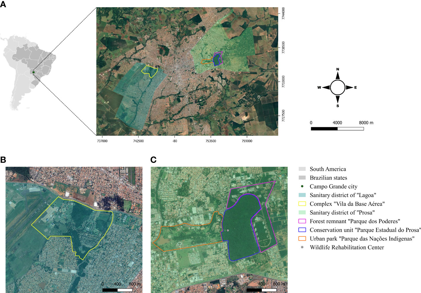 Leishmania Infantum Infecting The Carnivore Nasua Nasua From Urban