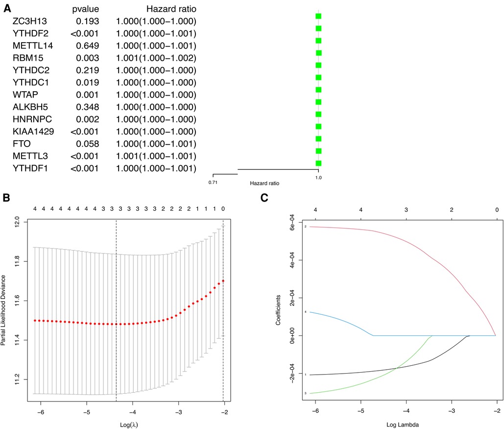Frontiers Effect Of N6 Methyladenosine Methylation Related Gene