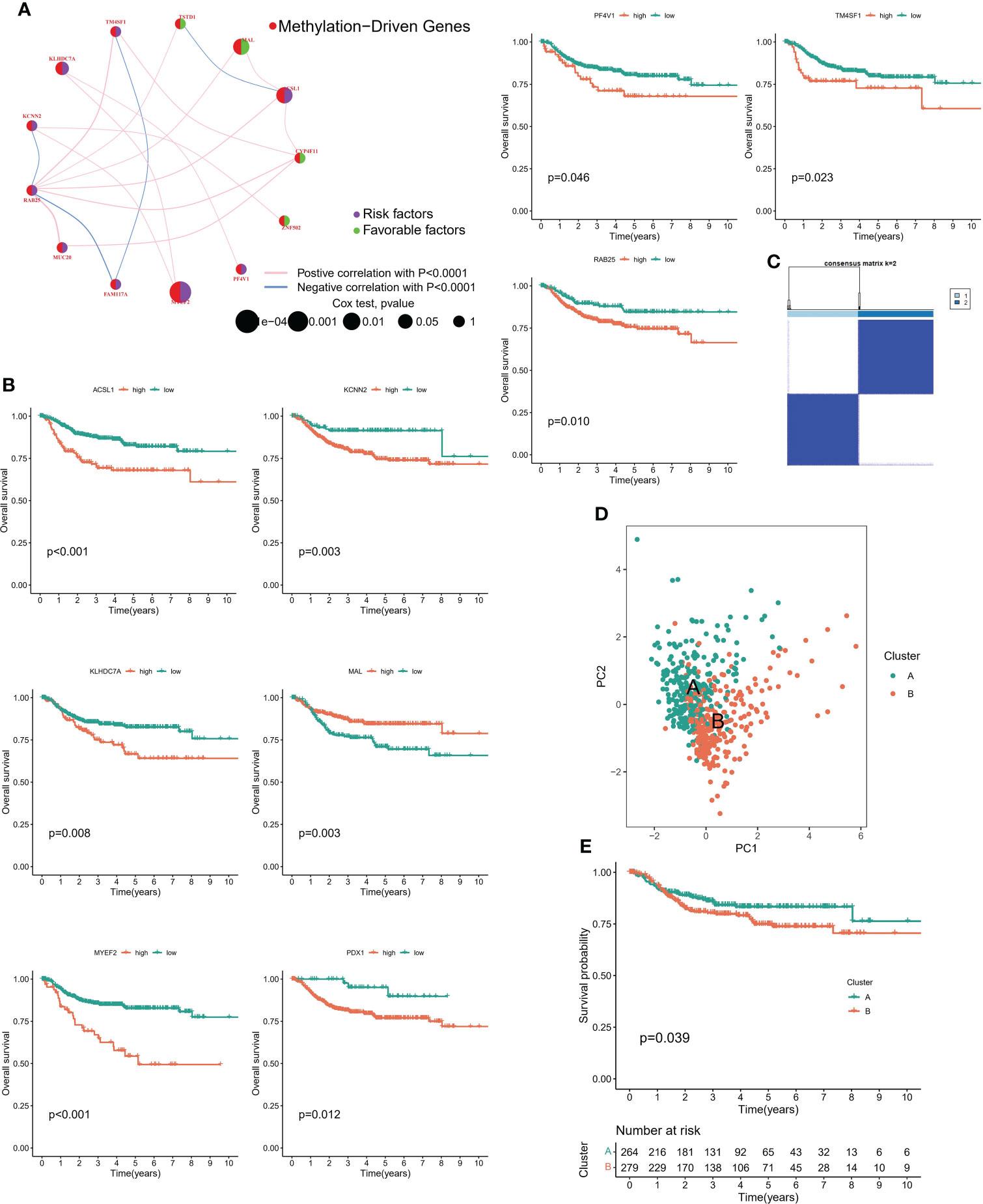 Frontiers A Novel Cervix Carcinoma Biomarker Pathological