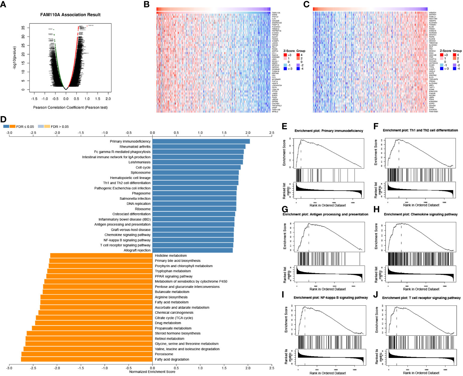 Frontiers Pan Cancer Analysis Reveals Potential Of Fam110a As A