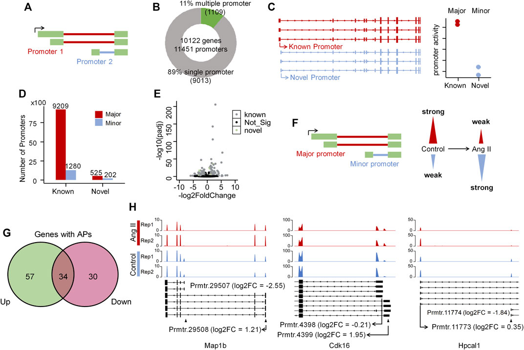Integrative analysis of Iso-Seq and RNA-seq reveals dynamic changes of ... Integrative analysis of Iso-Seq and RNA-seq reveals dynamic changes of ...