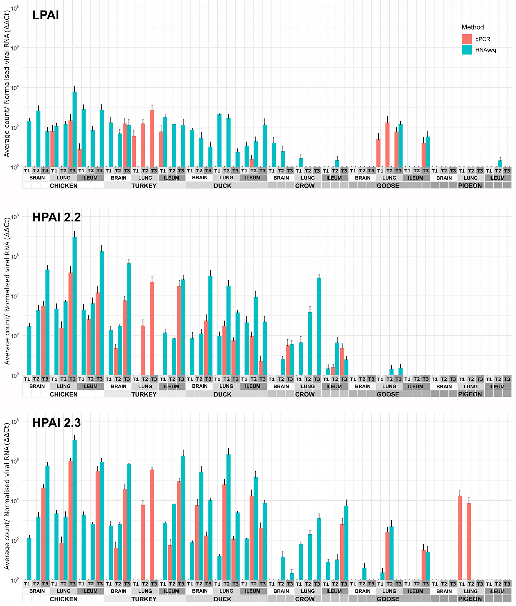 Frontiers | The molecular basis of differential host responses to avian influenza viruses in ...