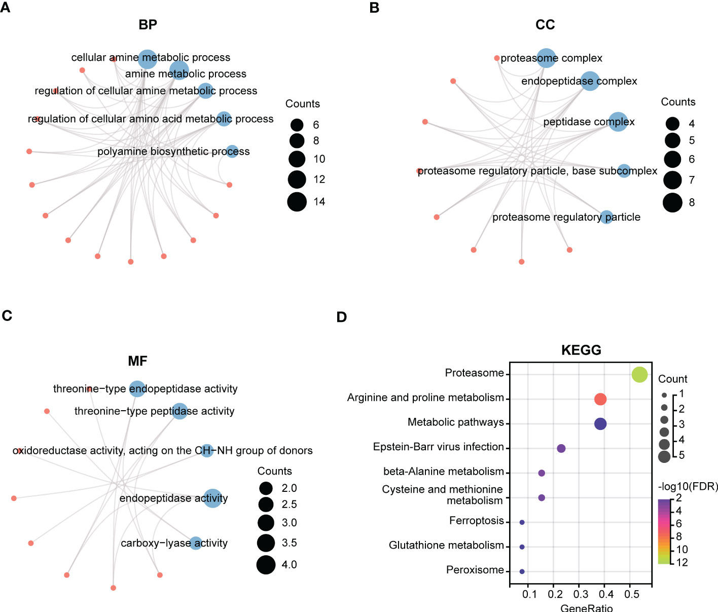 Frontiers Development And Validation Of Polyamines Metabolism