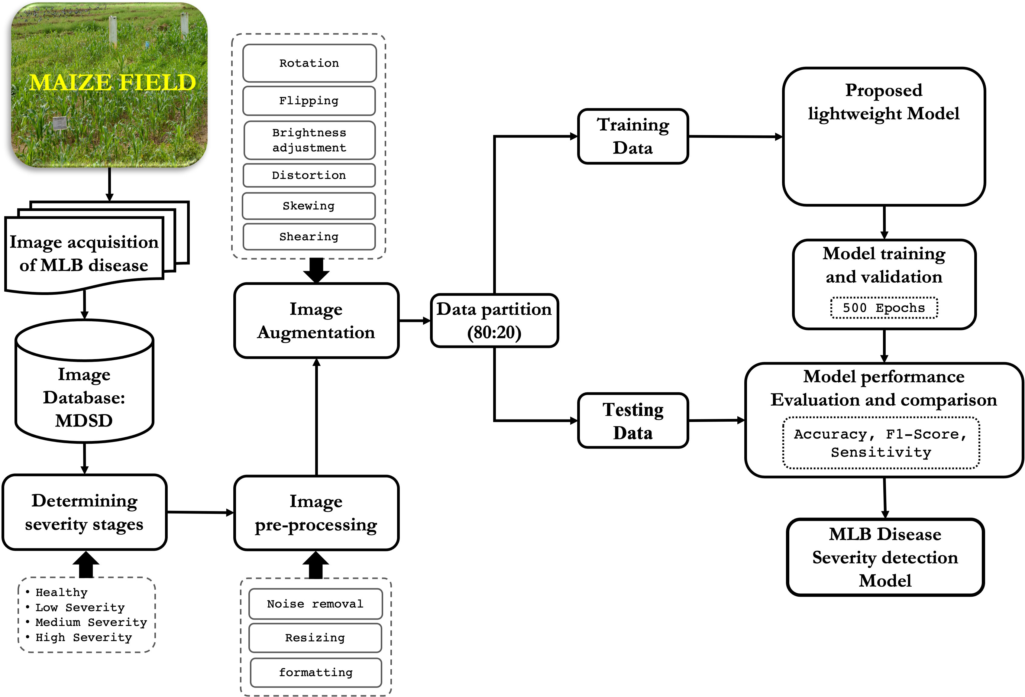 Disease Prediction Using Cnn Architecture Download Sc - vrogue.co Disease Prediction Using Cnn Architecture Download Sc - vrogue.co