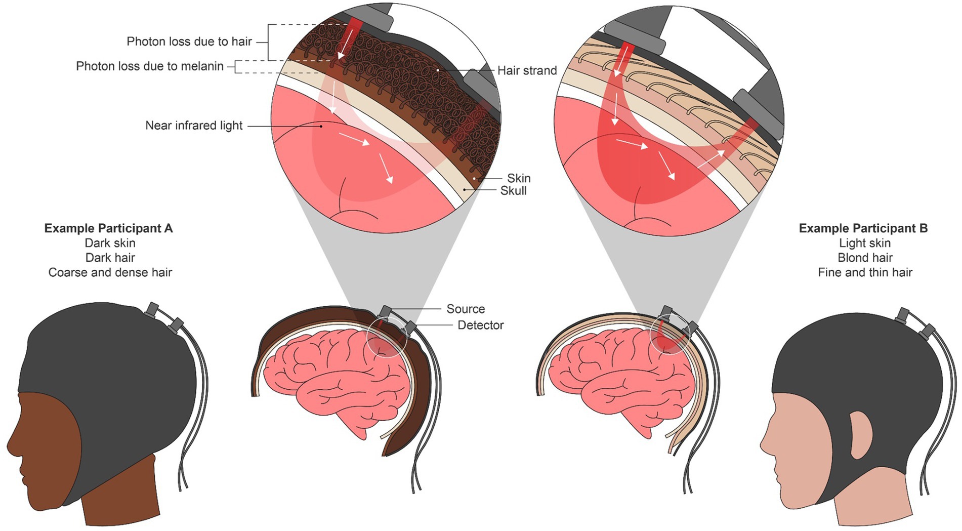 Frontiers | Demographic reporting and phenotypic exclusion in fNIRS