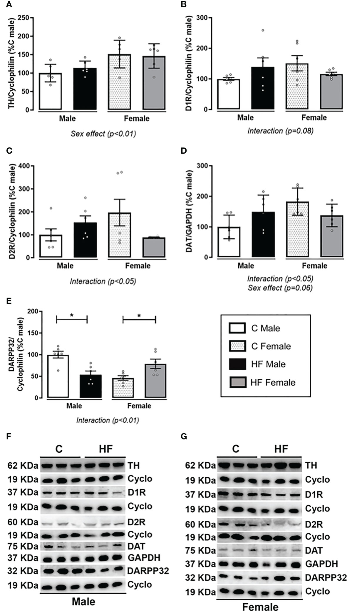 Frontiers Maternal High Fat Diet Decreases Milk Endocannabinoids With