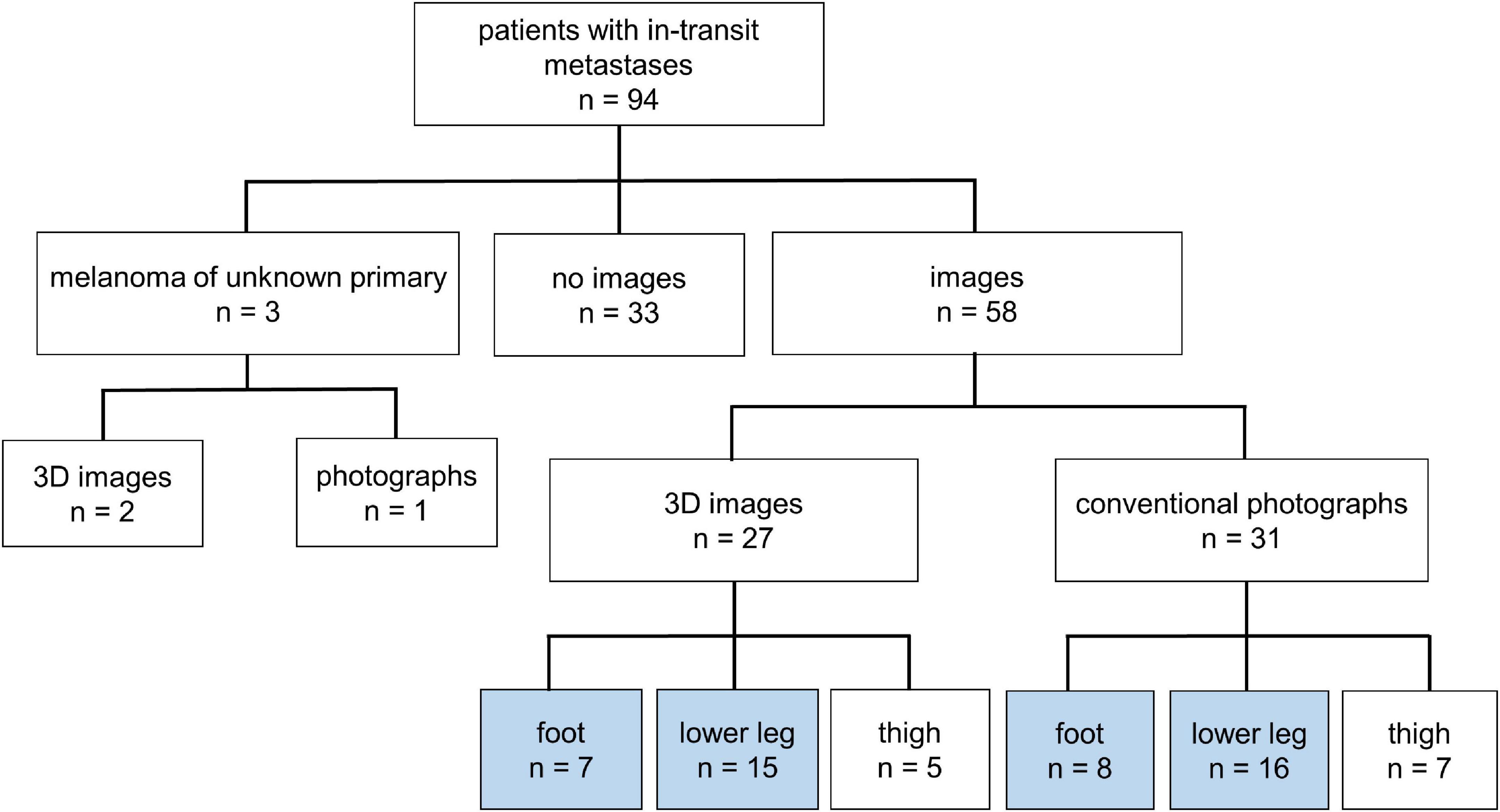 Frontiers Conventional And Three dimensional Photography As A Tool To 