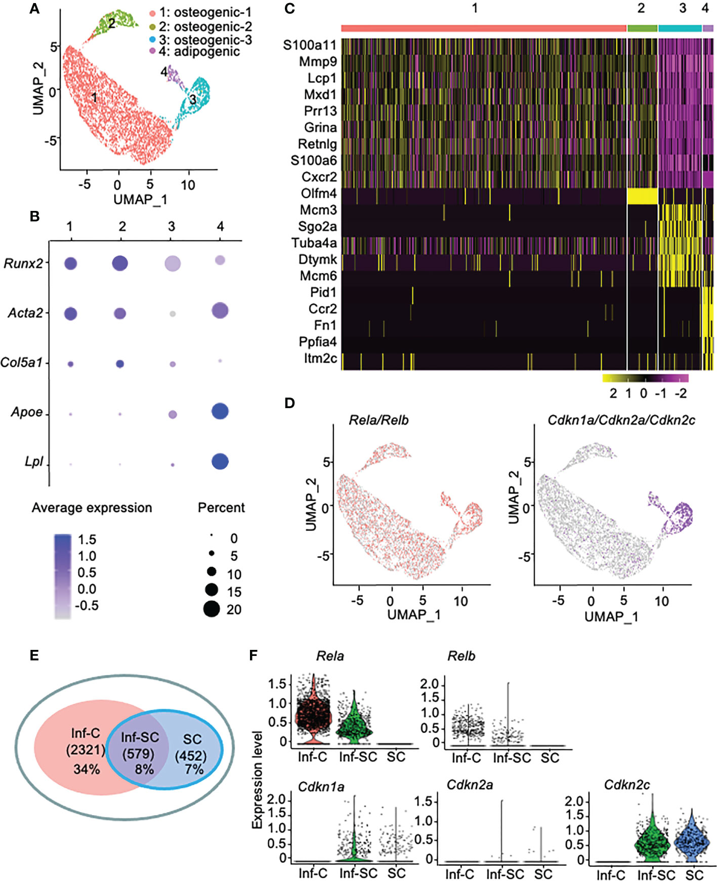Frontiers Molecular Signatures Distinguish Senescent Cells From