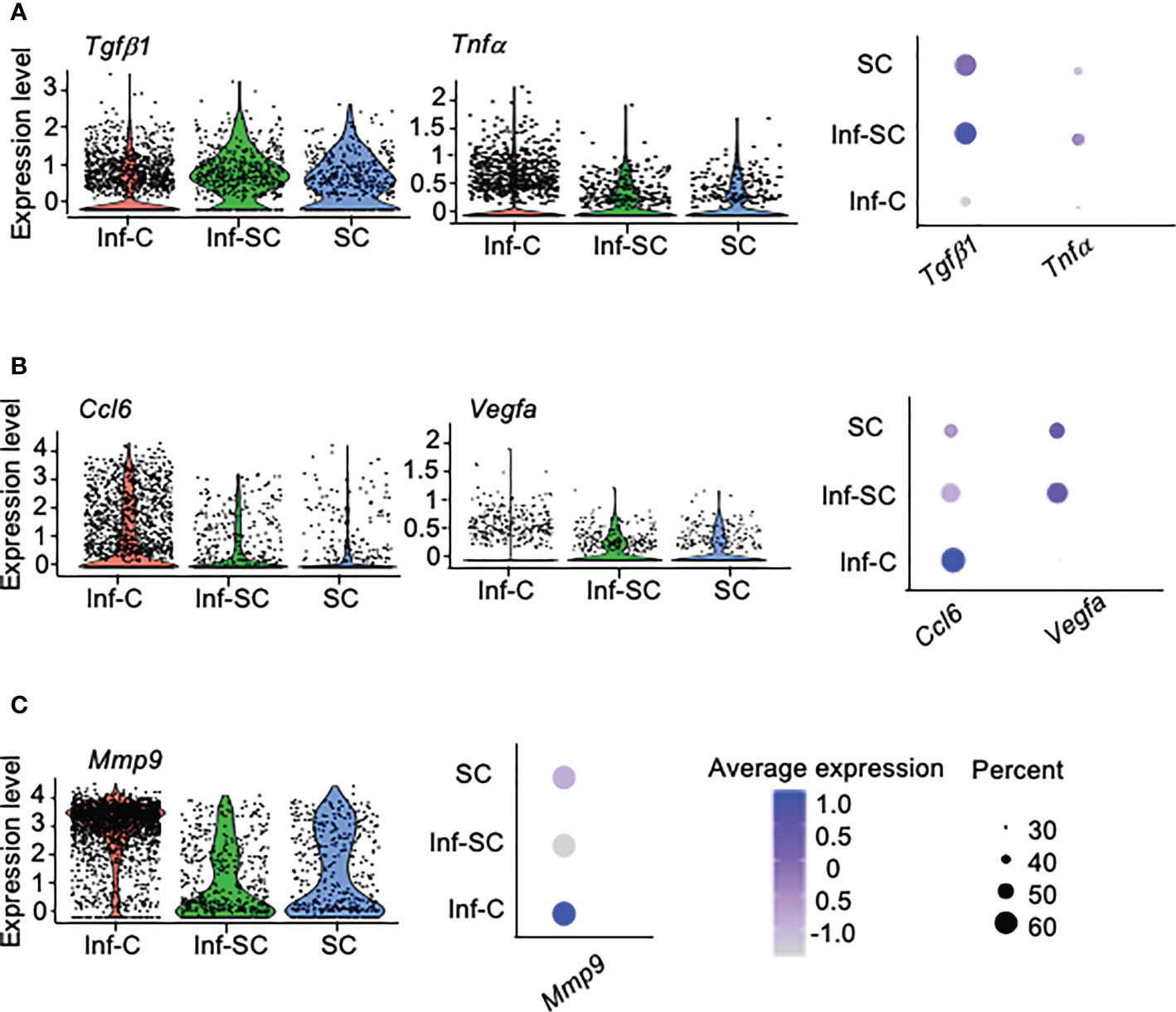 Frontiers Molecular Signatures Distinguish Senescent Cells From