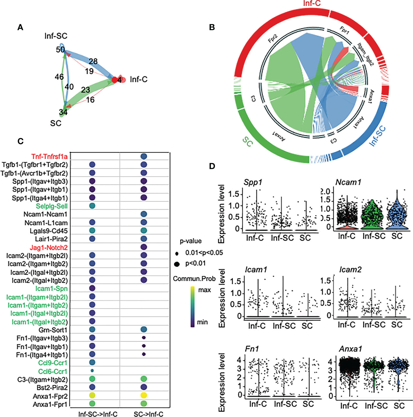 Frontiers Molecular Signatures Distinguish Senescent Cells From