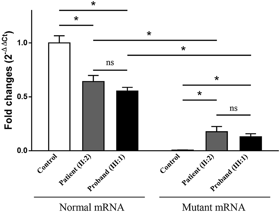 Frontiers The Tsc2 C 2742 5g A Variant Causes Variable Splicing