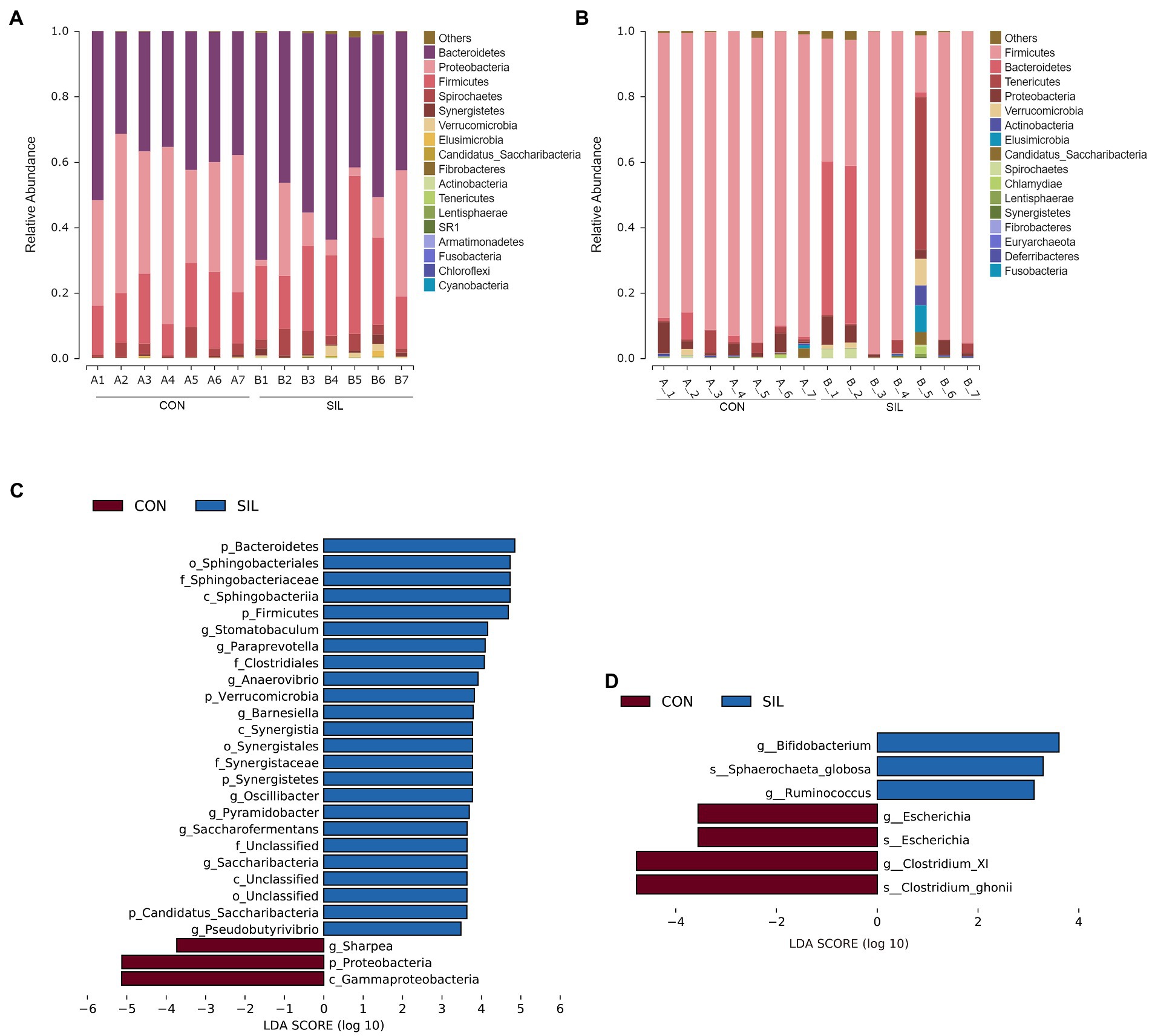 An integrated transcriptome and microbial community analysis reveals ... An integrated transcriptome and microbial community analysis reveals ...