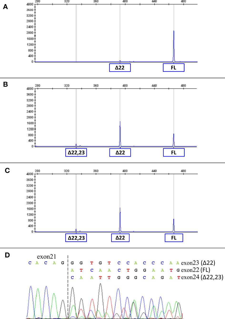 Frontiers | A novel BRCA1 splicing variant detected in an early onset triple-negative breast ...
