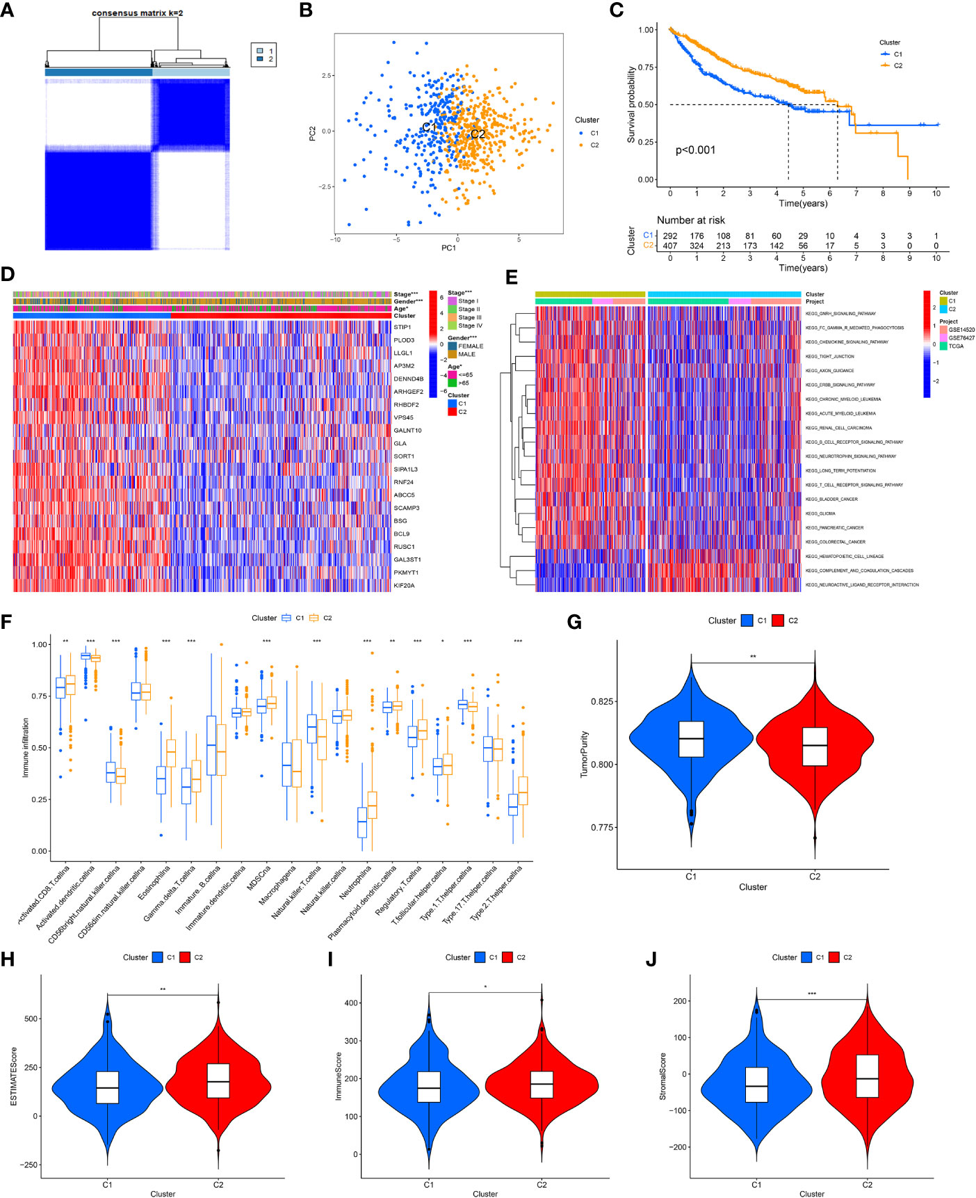 Frontiers Molecular Subtype Identification And Signature Construction