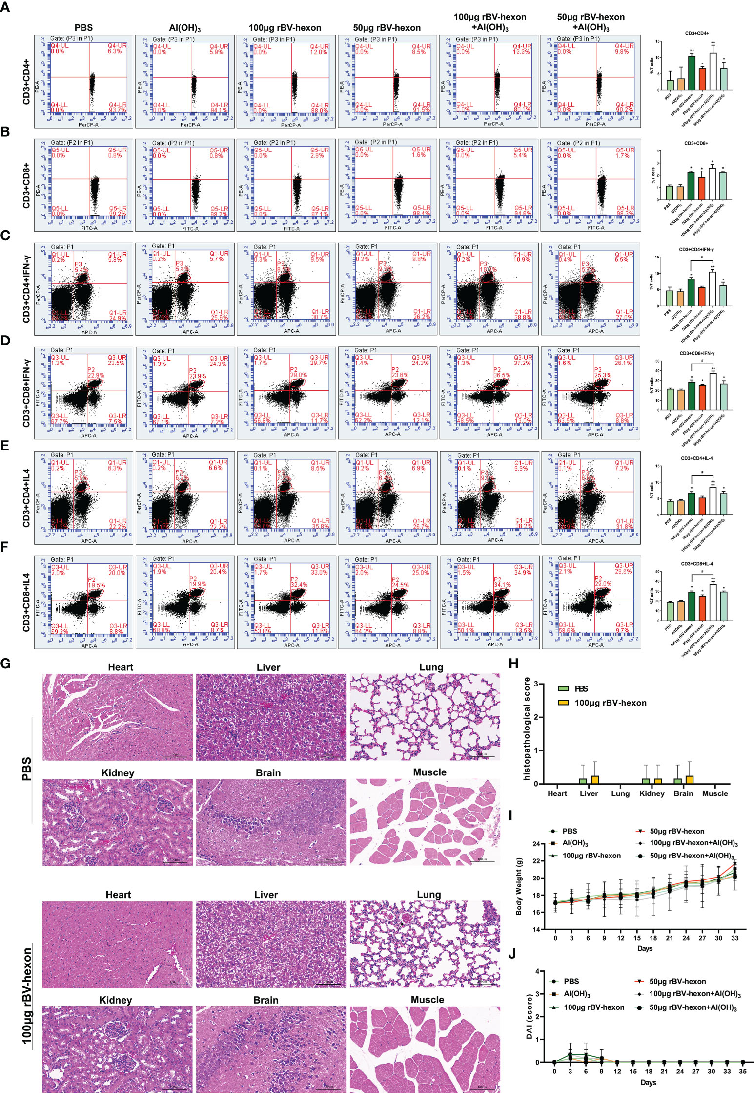 Frontiers Human Adenovirus Type 7 Subunit Vaccine Induces Dendritic