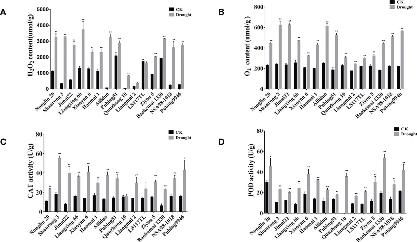 Frontiers Comparative Transcriptomic Analysis And Functional