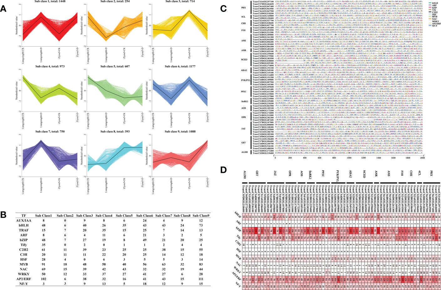 Frontiers Comparative Transcriptomic Analysis And Functional