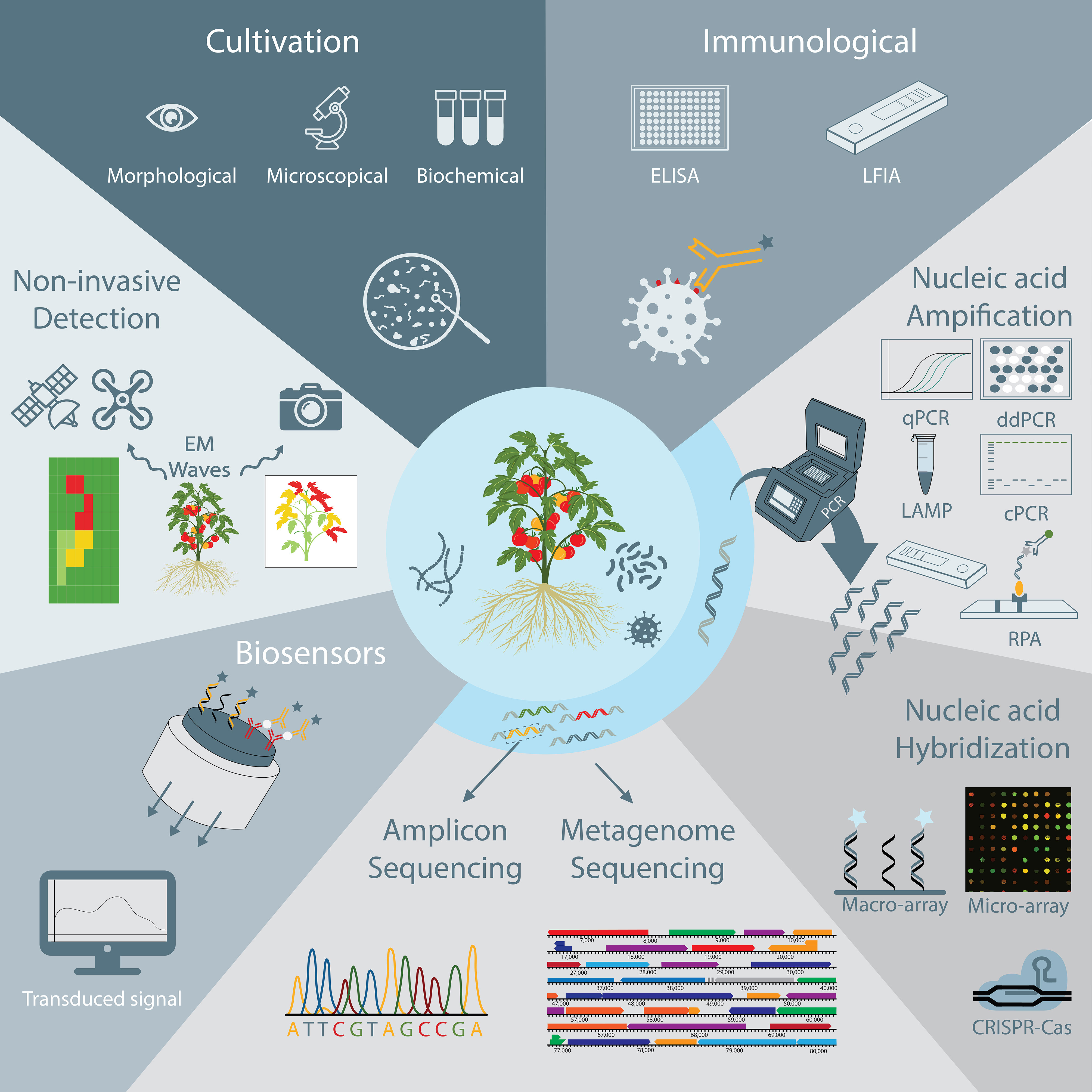 Frontiers Current And Emerging Trends In Techniques For Plant 