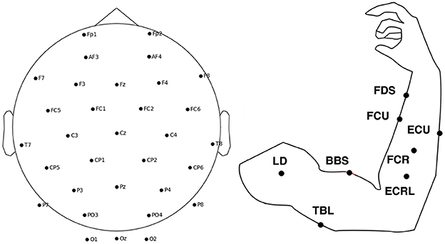 A sequential learning model with GNN for EEG-EMG-based stroke ... A sequential learning model with GNN for EEG-EMG-based stroke ...