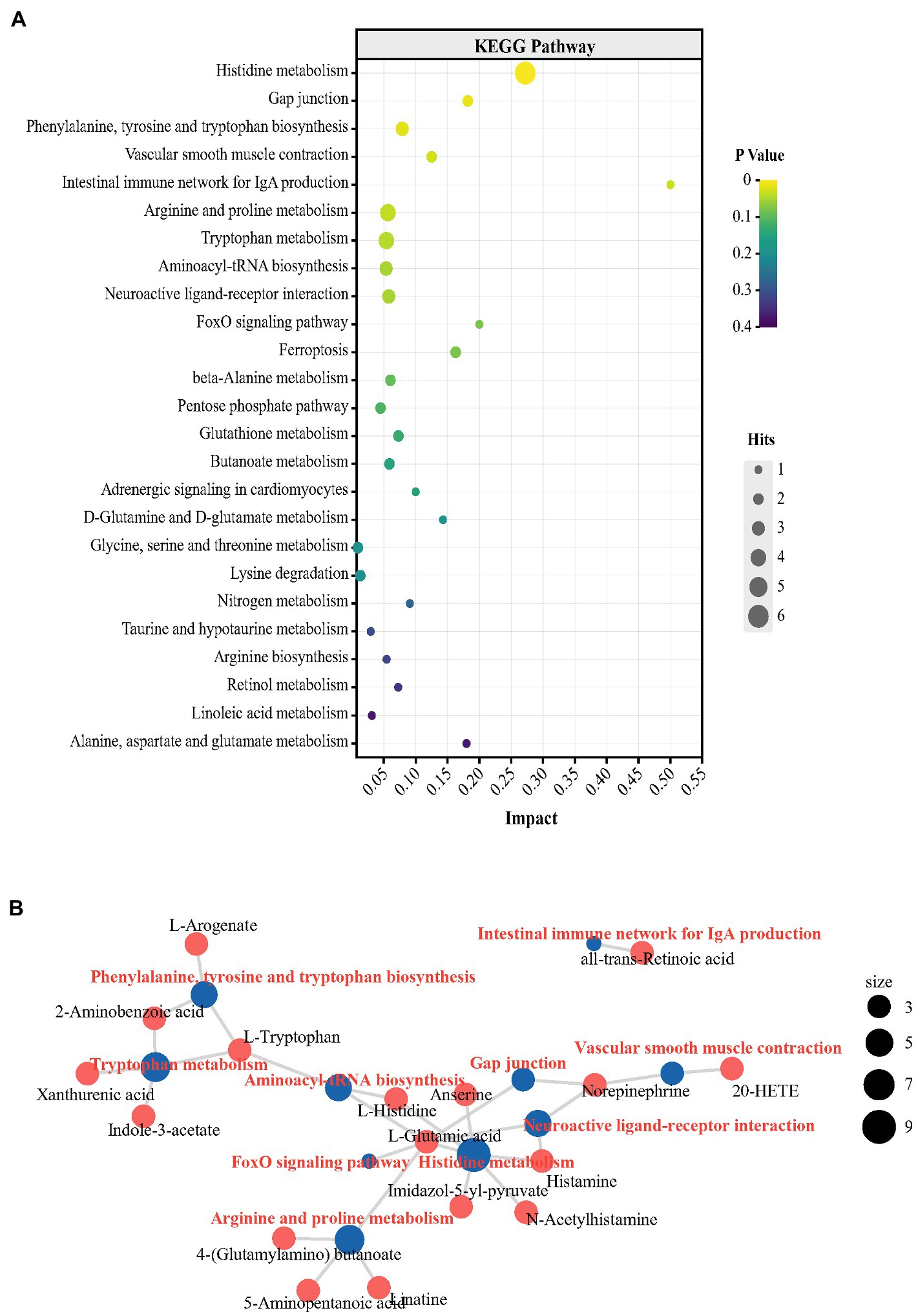 Differences in peripheral and central metabolites and gut microbiome of ... Differences in peripheral and central metabolites and gut microbiome of ...