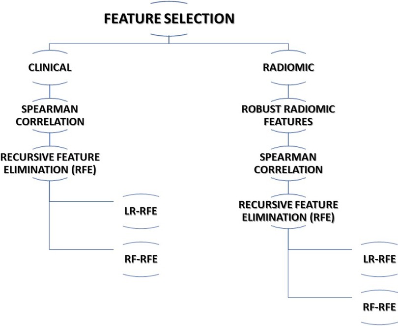 Frontiers | Development and validation of radiomic signature for ...