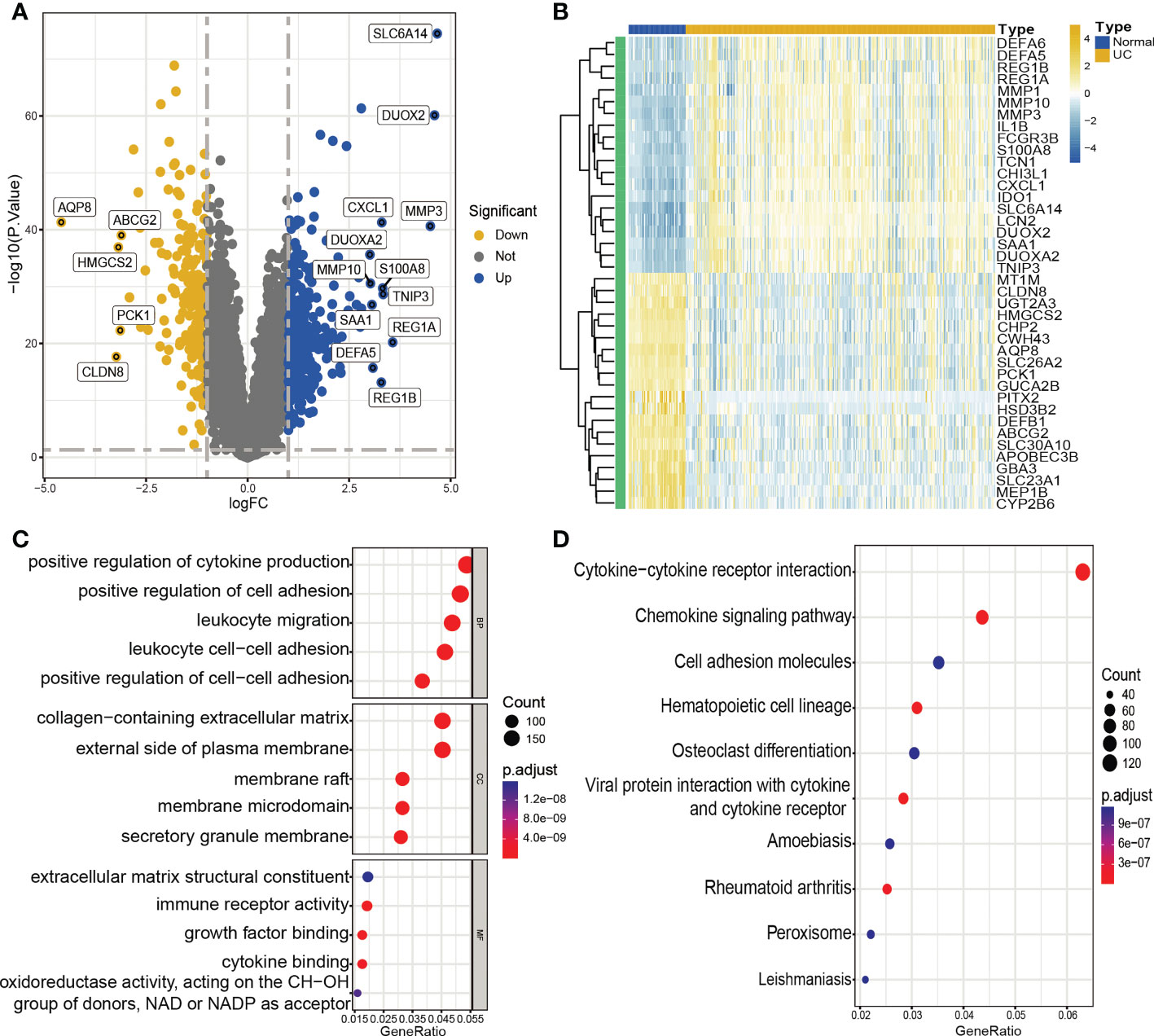 Frontiers Identification Of Cuproptosis Associated Subtypes And
