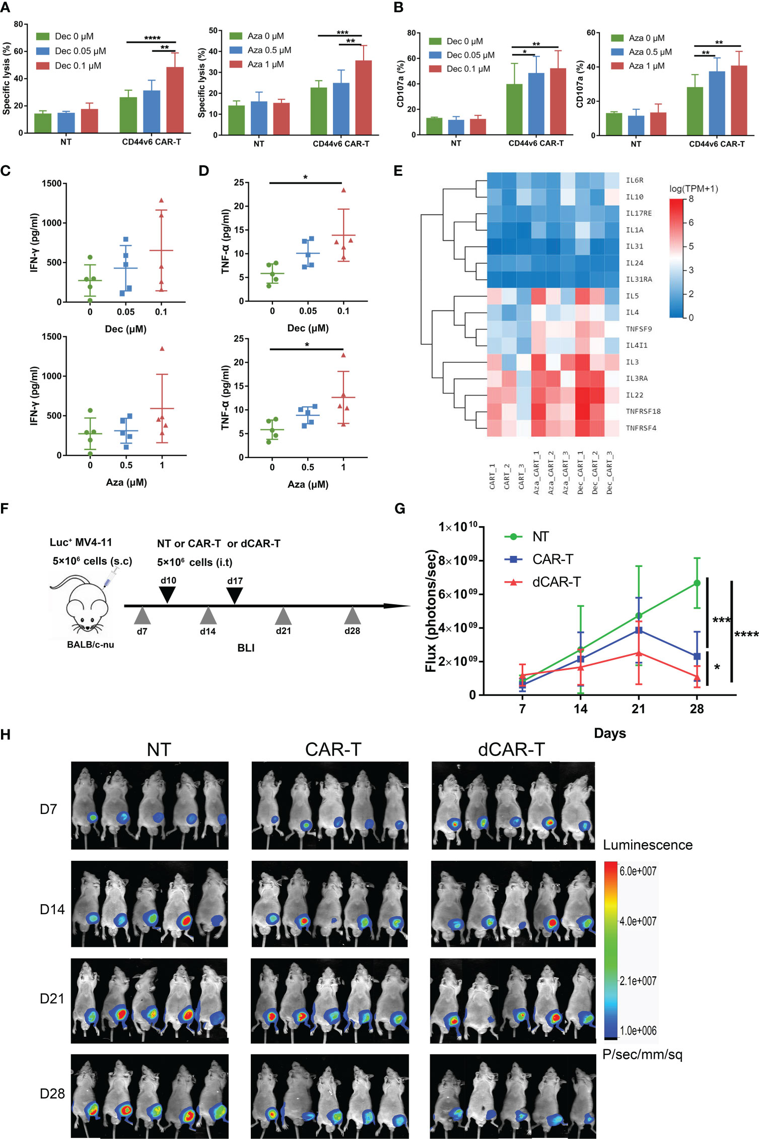 Frontiers Demethylating Therapy Increases Cytotoxicity Of Cd44v6 Car