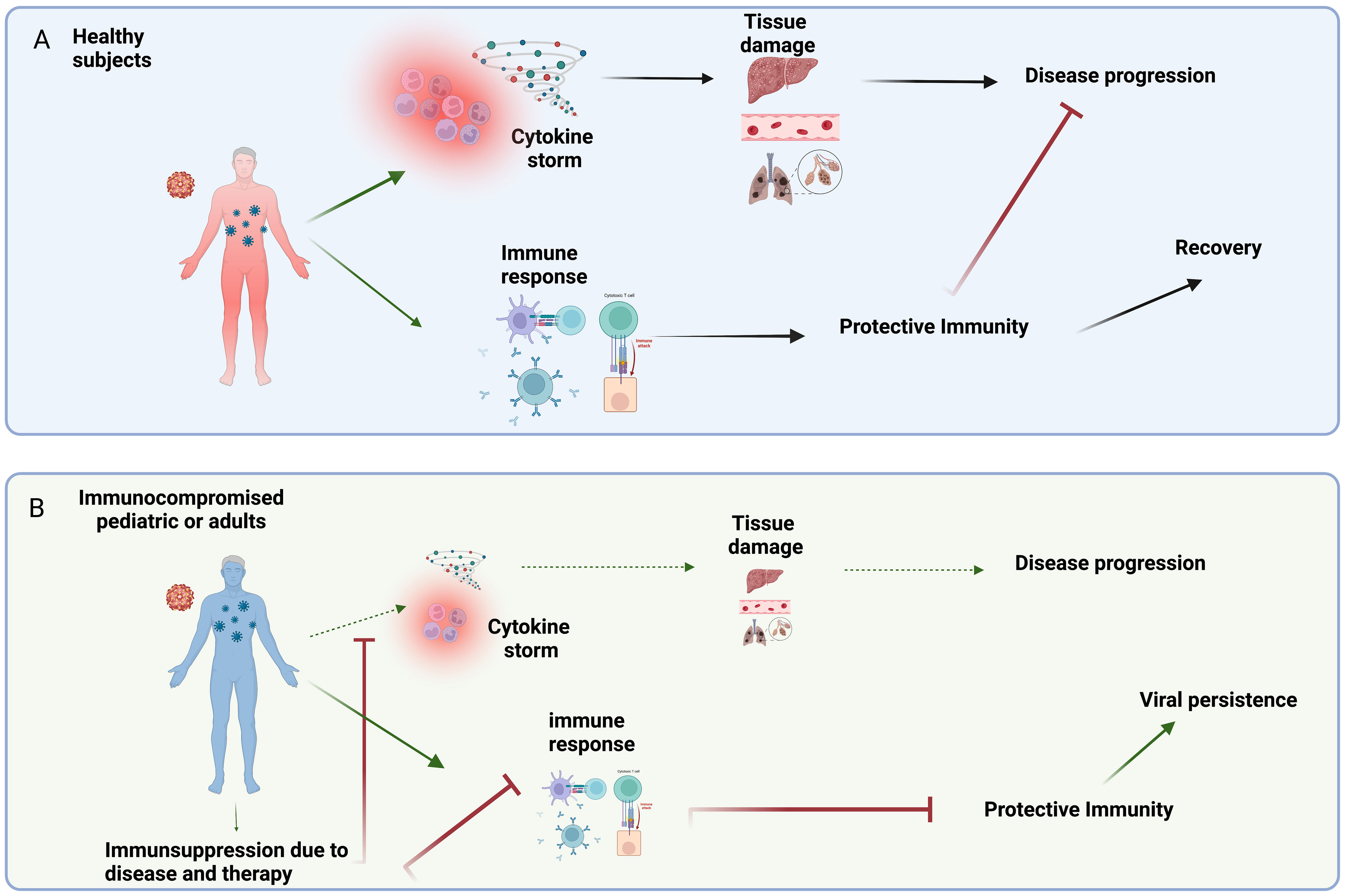 Frontiers | Emerging viral infections in immunocompromised patients: A ... Frontiers | Emerging viral infections in immunocompromised patients: A ...