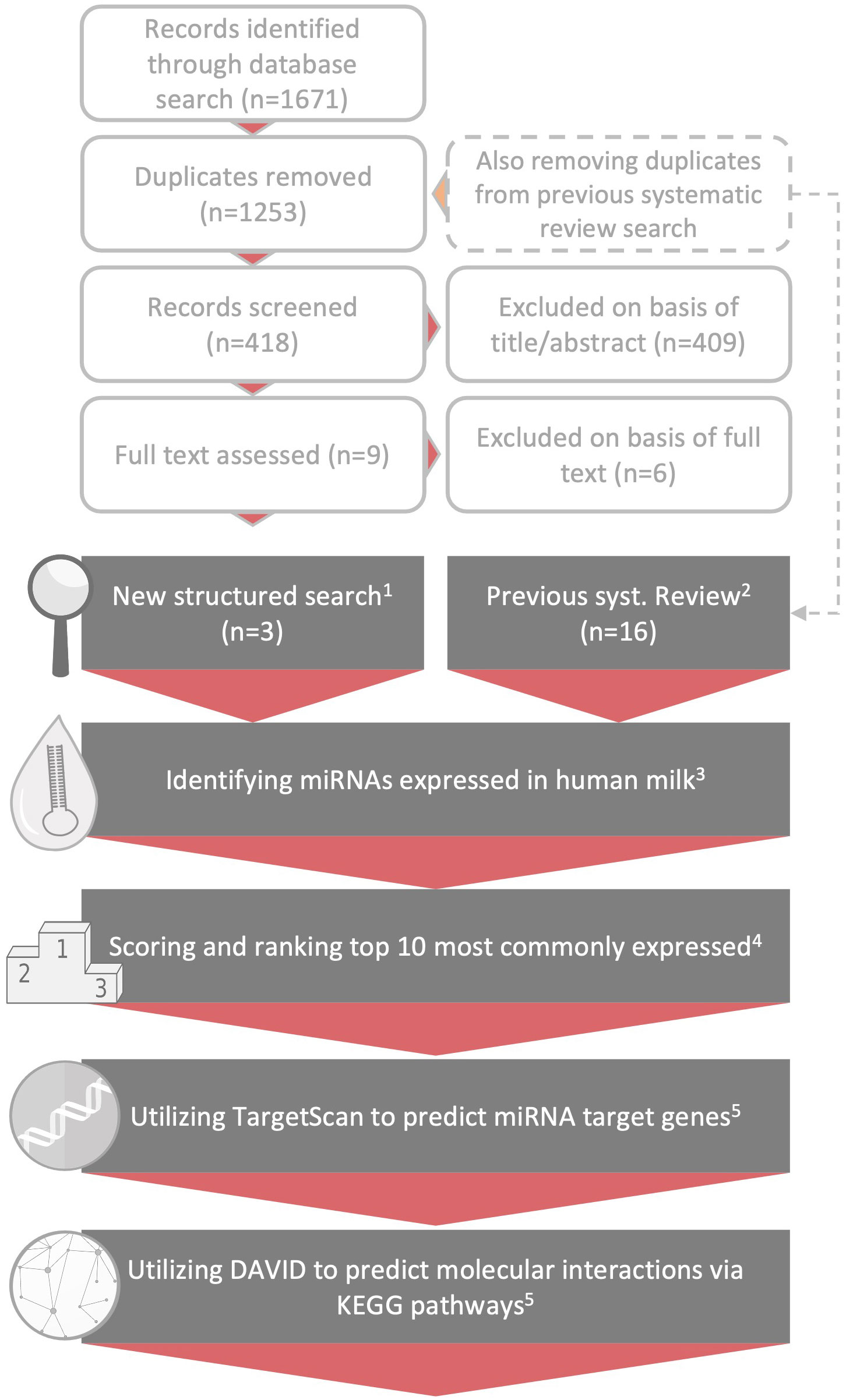 Frontiers Breast Milk Micrornas Potential Players In Oral Tolerance