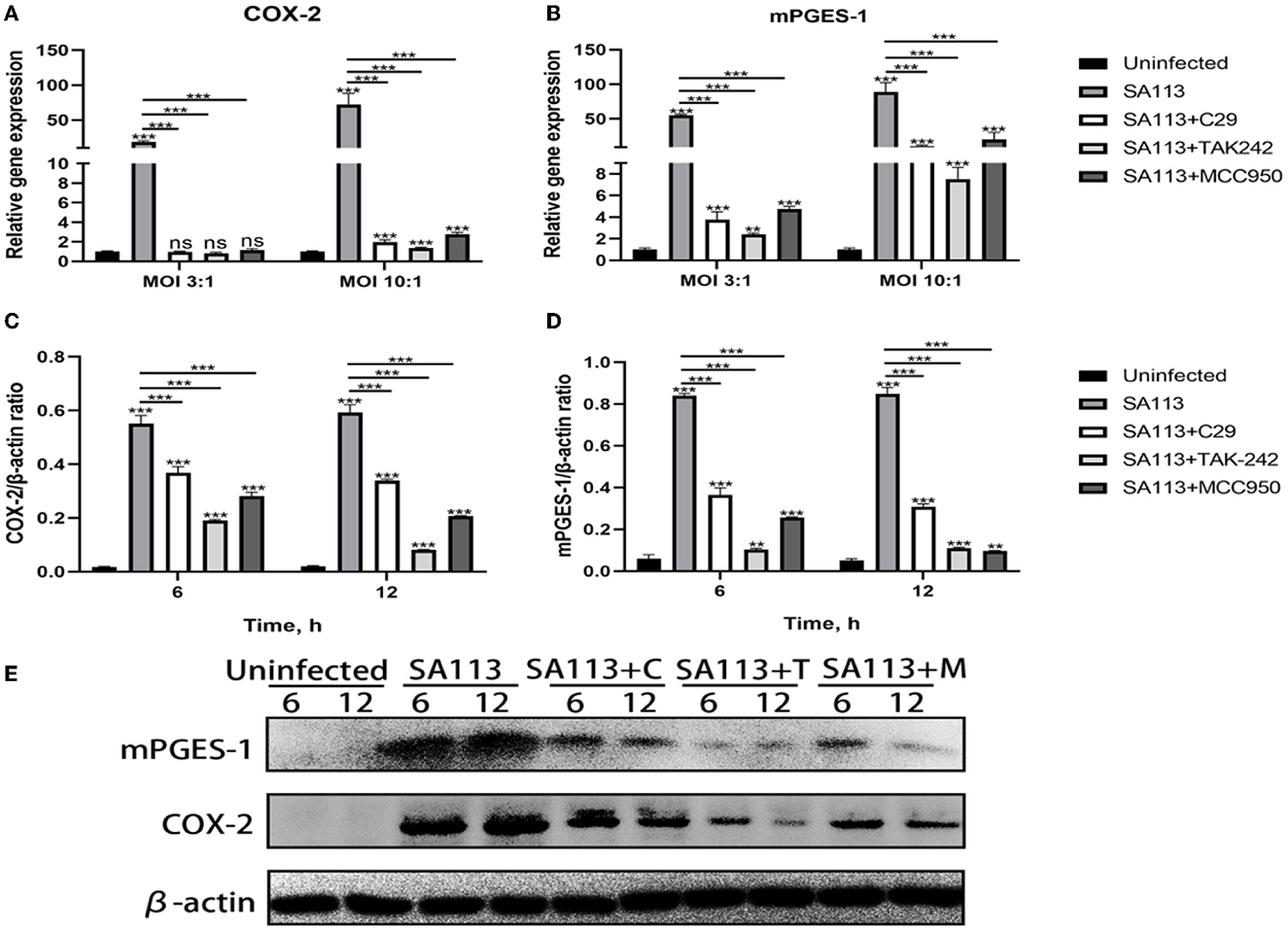 Frontiers Staphylococcus Aureus Increases Prostaglandin E2 Secretion