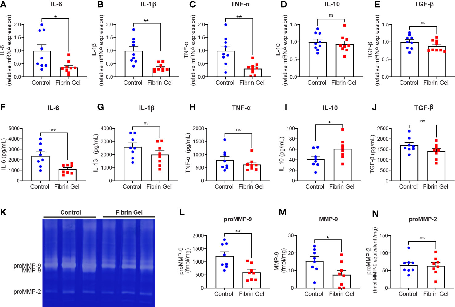 Frontiers Physiological Fibrin Hydrogel Modulates Immune Cells And