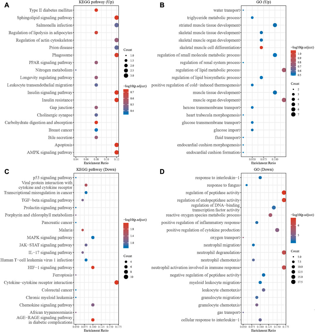 Frontiers A Novel Signature Combing Cuproptosis And Ferroptosis