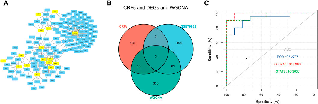 Frontiers A Novel Signature Combing Cuproptosis And Ferroptosis