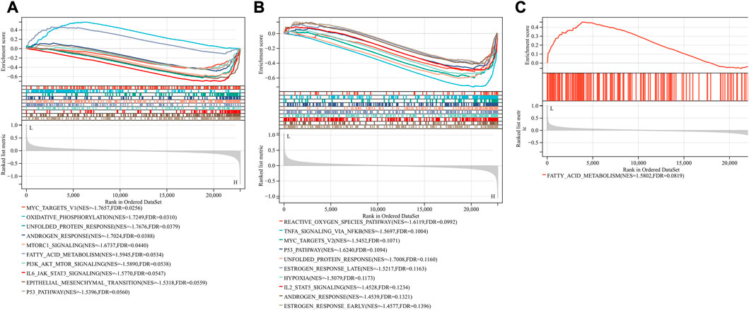 Frontiers A Novel Signature Combing Cuproptosis And Ferroptosis