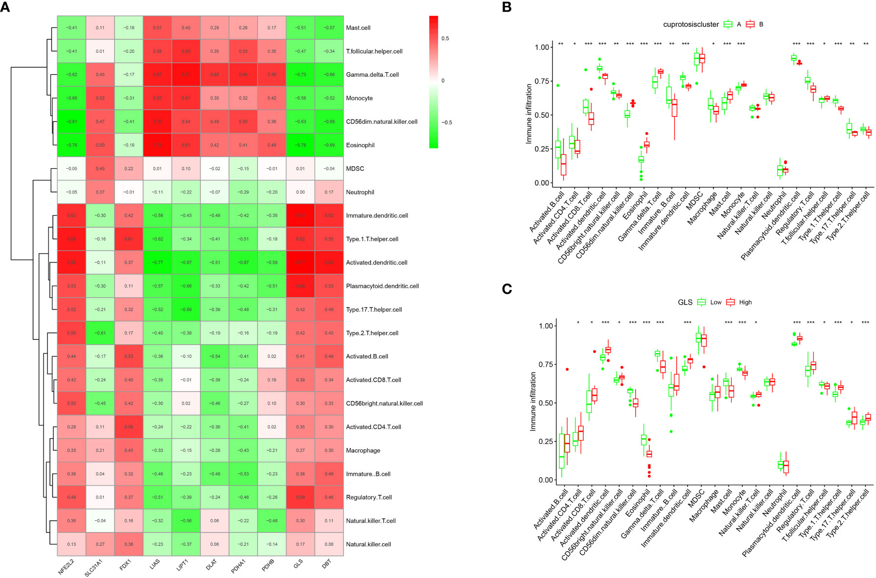 Frontiers Identification Of Cuproptosis Related Subtypes