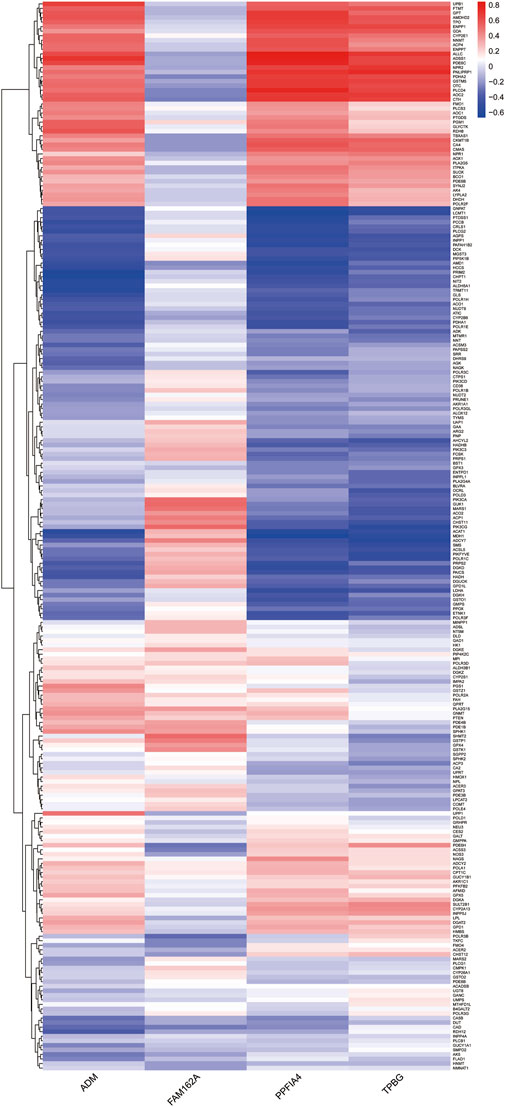 Frontiers Identification And Validation Of Potential Hypoxia Related