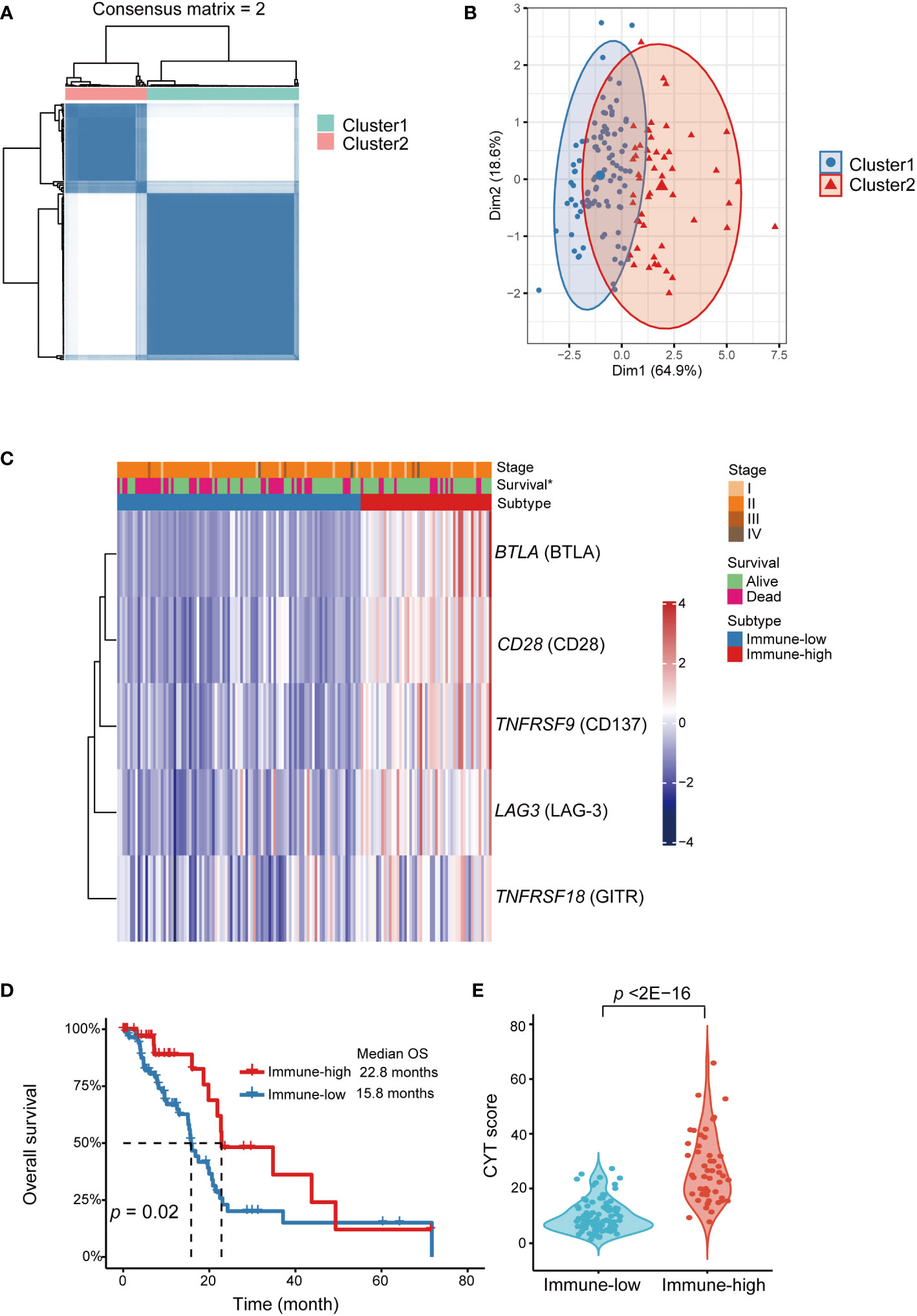 Frontiers Prediction Of Risk And Overall Survival Of Pancreatic