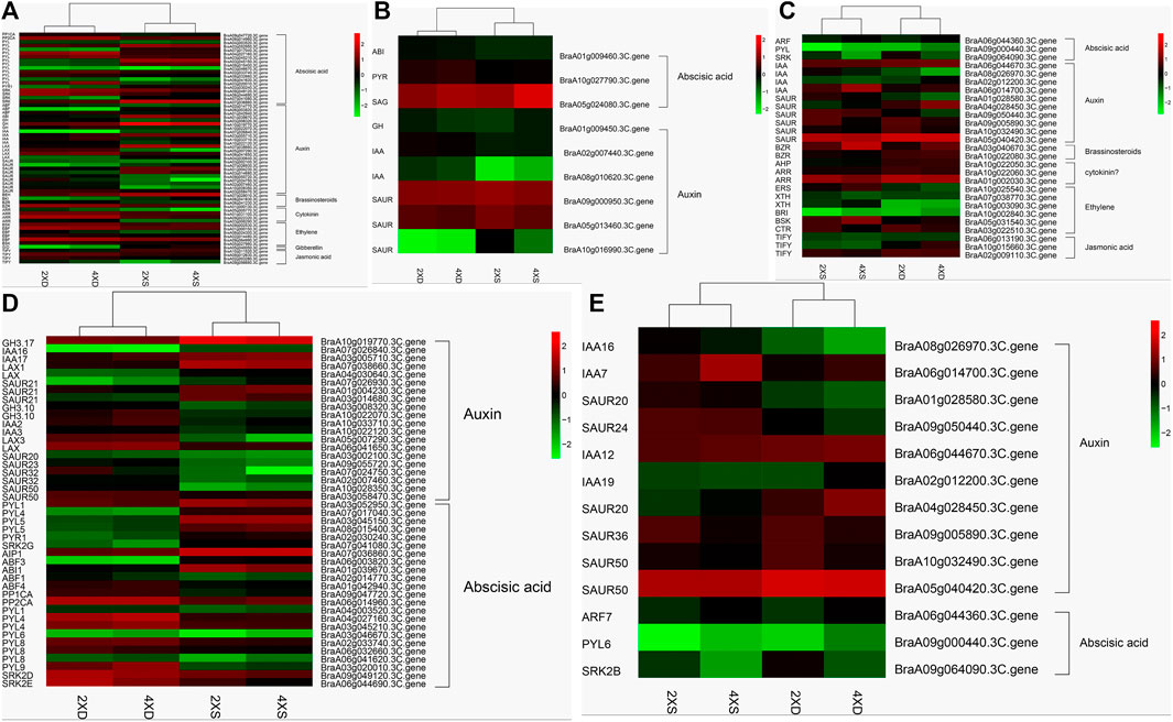 Comparative transcriptome analysis provides insights into molecular ... Comparative transcriptome analysis provides insights into molecular ...