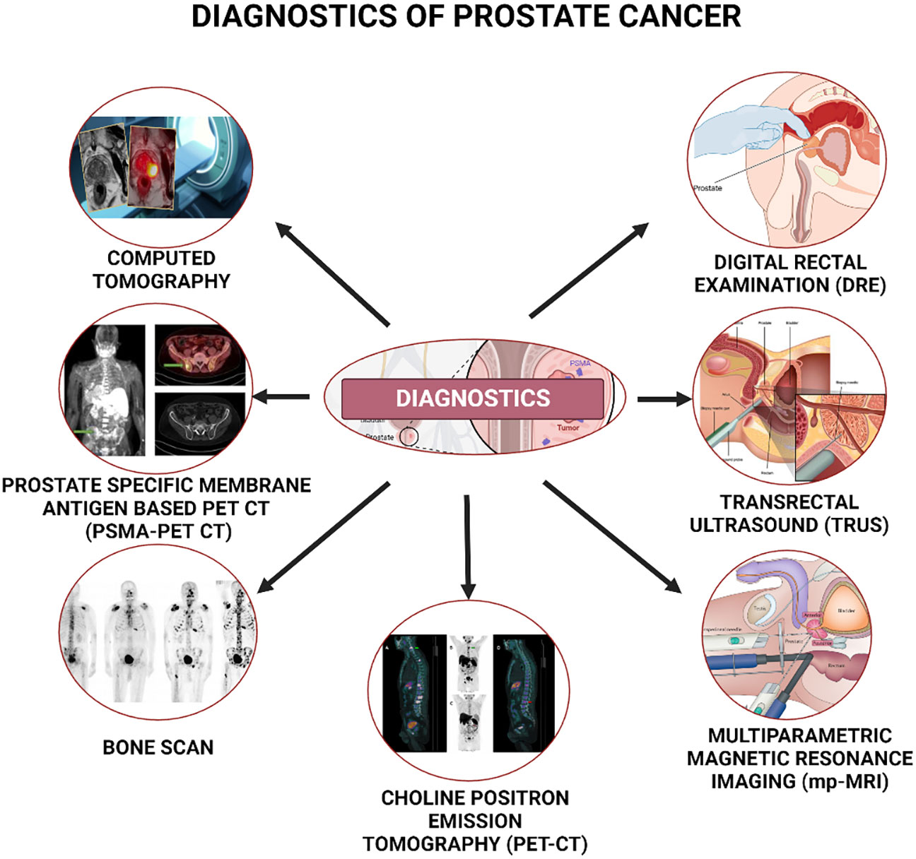 Frontiers | New insights into molecular signaling pathways and current ...