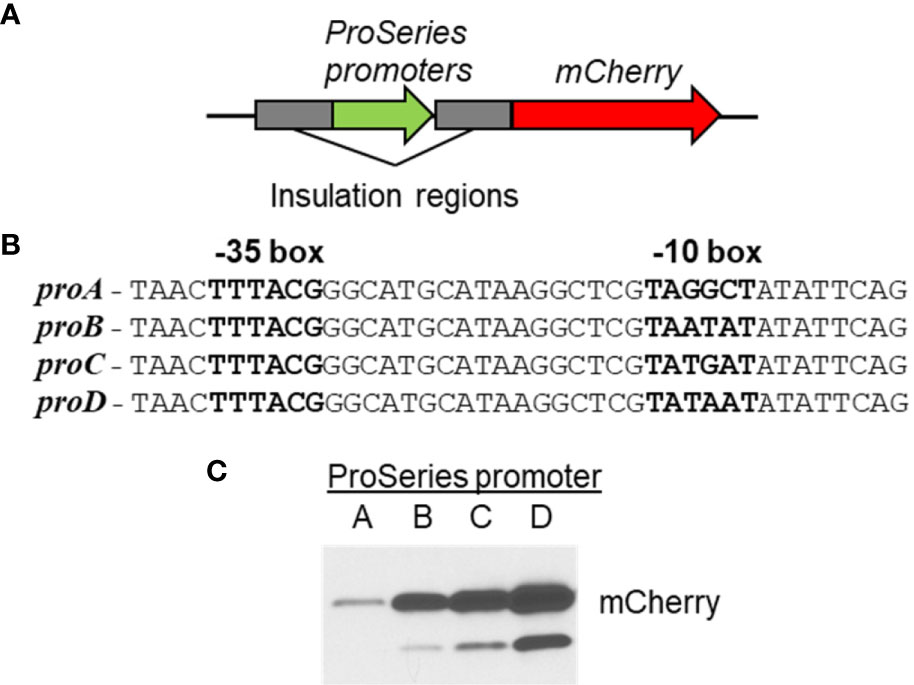 Frontiers Recent Advances In Genetic Systems In Obligate